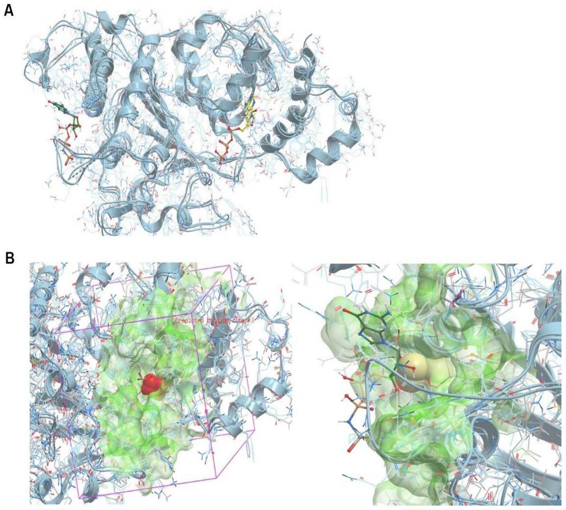 死亡相关蛋白3抑制剂及其应用、肿瘤治疗药物_专利查询 - 企查查
