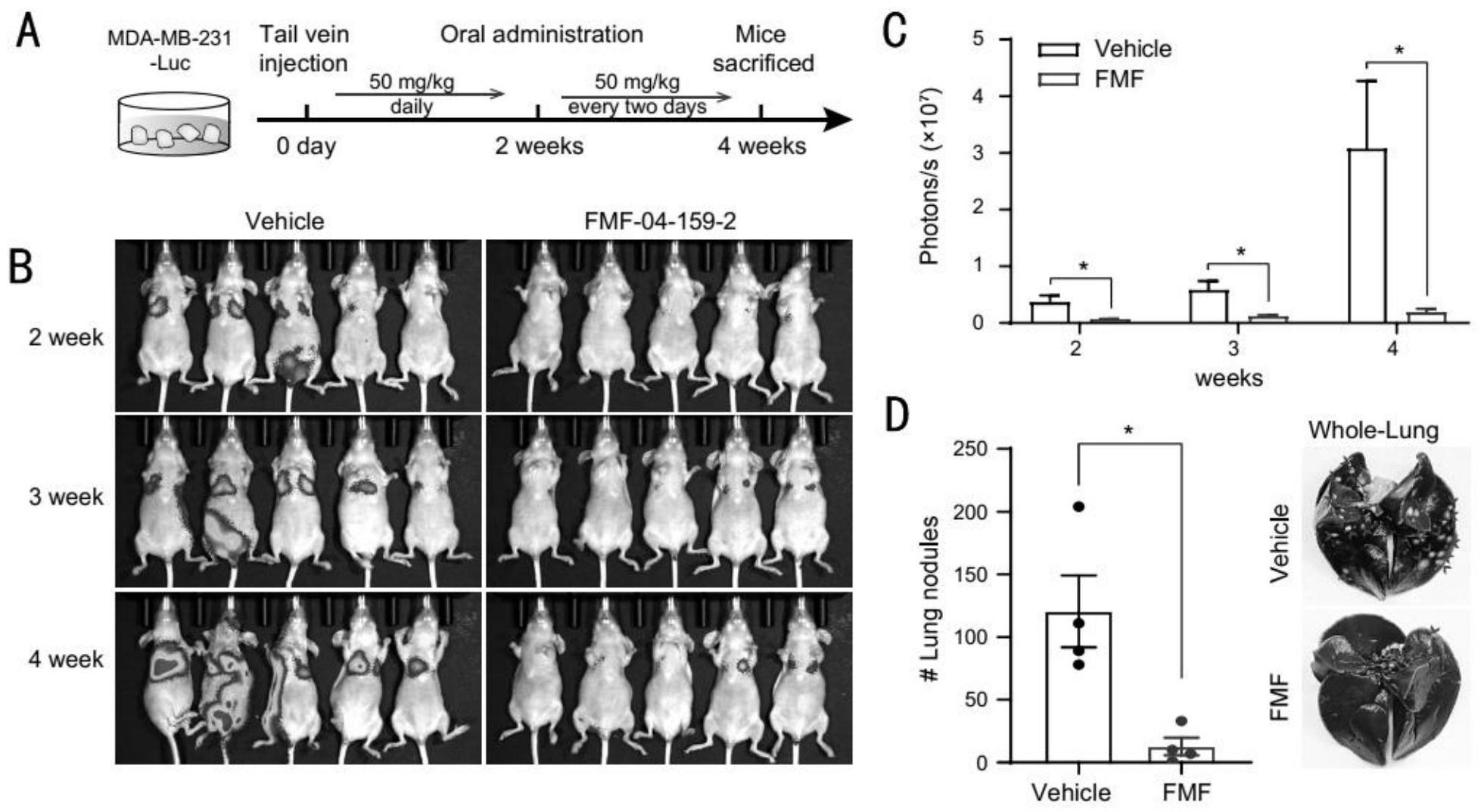 CDK14作为靶标在制备用于治疗三阴性乳腺癌的药物中的应用_专利查询 - 企查查