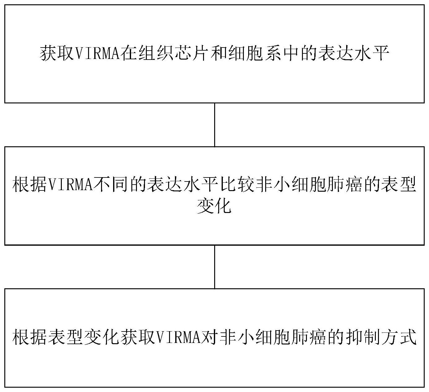 基于VIRMA的非小细胞肺癌预后模型的构建方法_专利查询 - 企查查