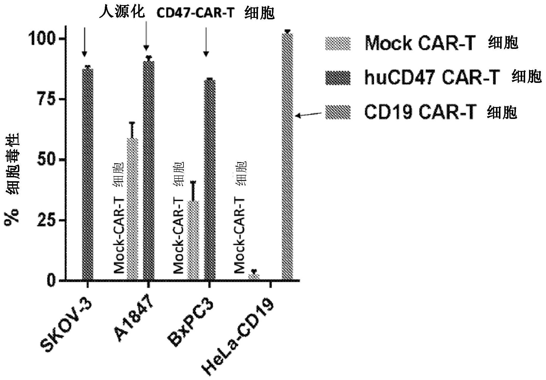 CD47-CAR-T细胞_专利查询 - 企查查