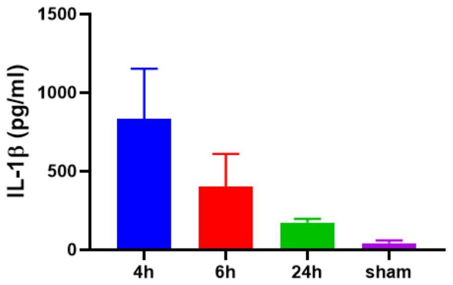 一种LPS联合ATP诱导的炎症小体异常激活动物模型的构建方法及其应用_专利查询 - 企查查