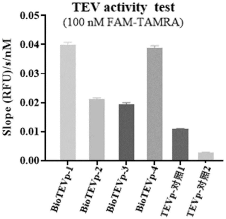 一种重组TEV蛋白酶及其制备方法和应用_专利查询 - 企查查