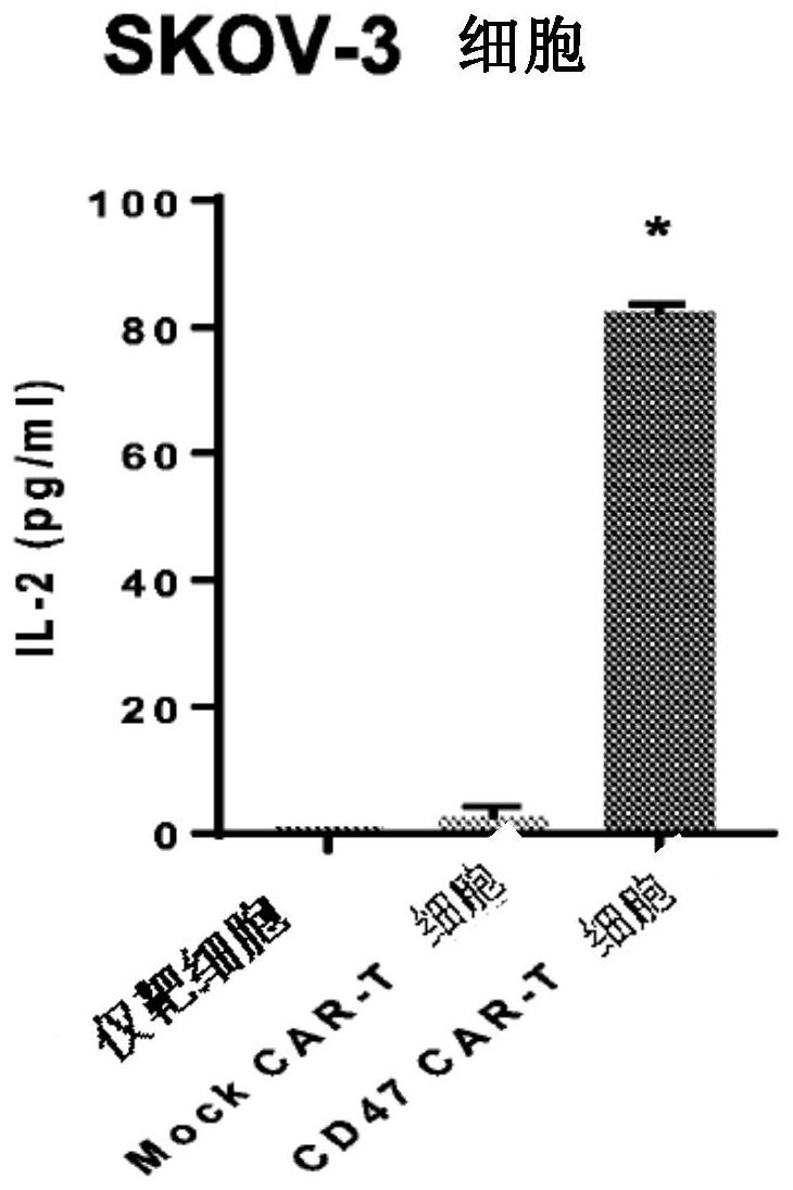 CD47-CAR-T细胞_专利查询 - 企查查